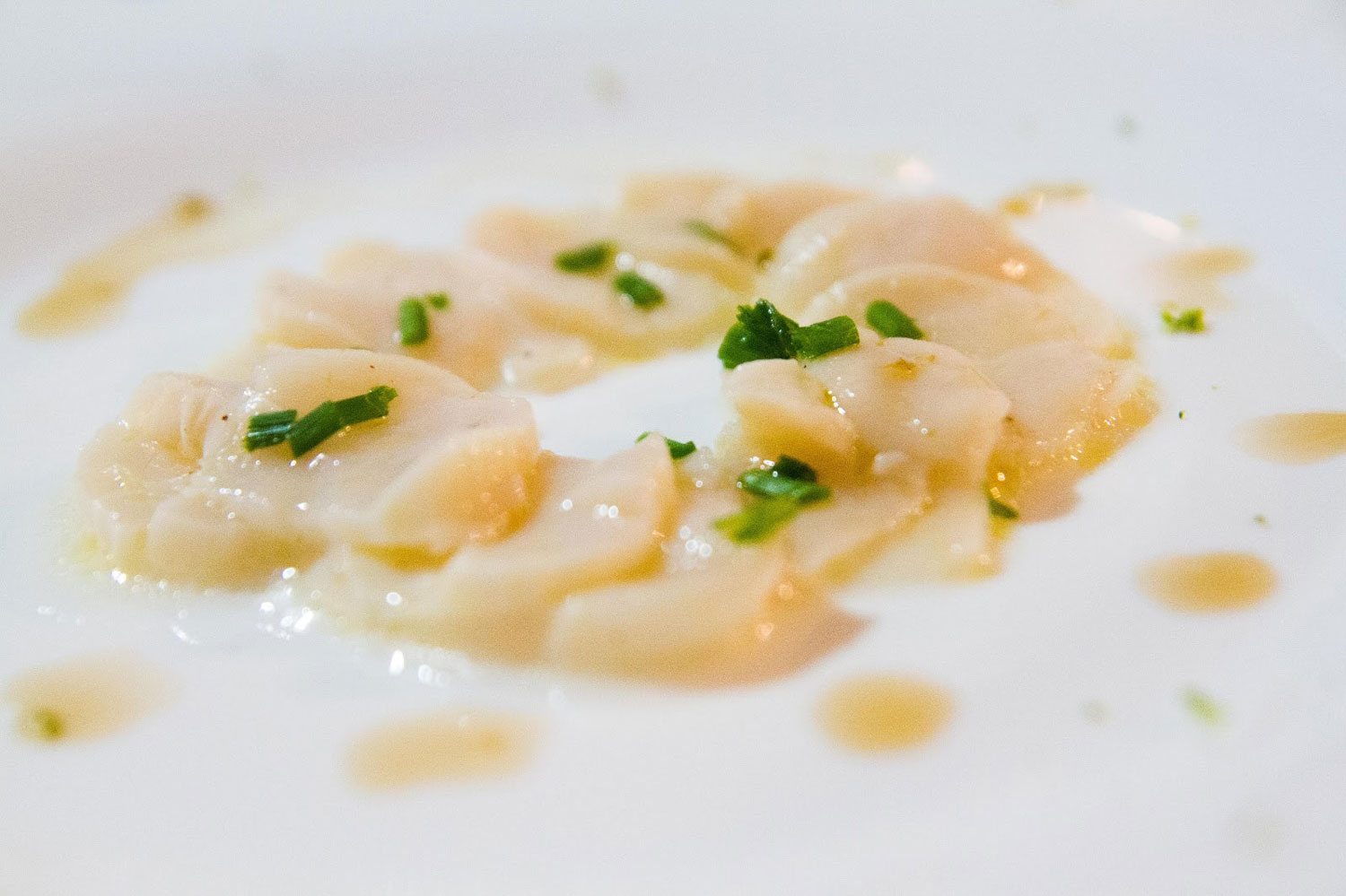 Magazin - Champagner & Champagner